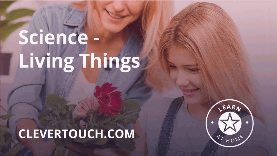 Living Things Part 2 - Invertebrates - Clevertouch Technologies Global